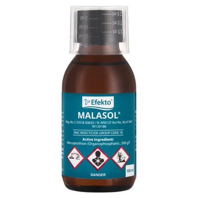Efekto Malasol Emulsifiable Concentrate Insecticide 100ml | PnP
