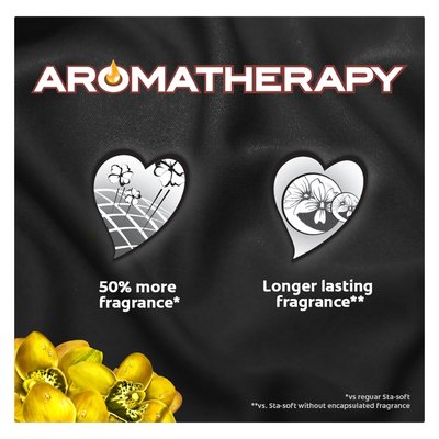 Sta-Soft Aromatherapy Indulgence Fabric Softener 2L | PnP