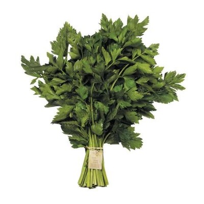 PnP Table Celery Bunch | PnP